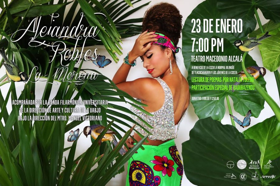 OAXACA: Alejandra Robles ofrecerá concierto en beneficio de Escuela ...